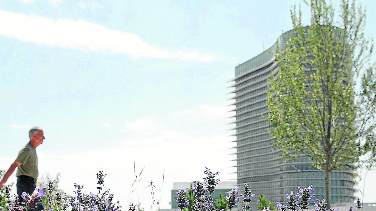 Biodiver-city: ¿cómo podemos integrar la naturaleza en la ciudad ...