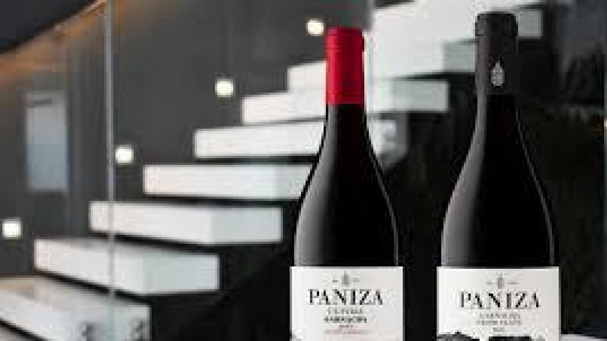 El 97% de la producción de Bodegas Paniza viaja a más de 40 países ...