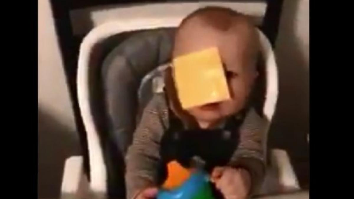 Bebés y lonchas de queso, la combinación más discutida de internet