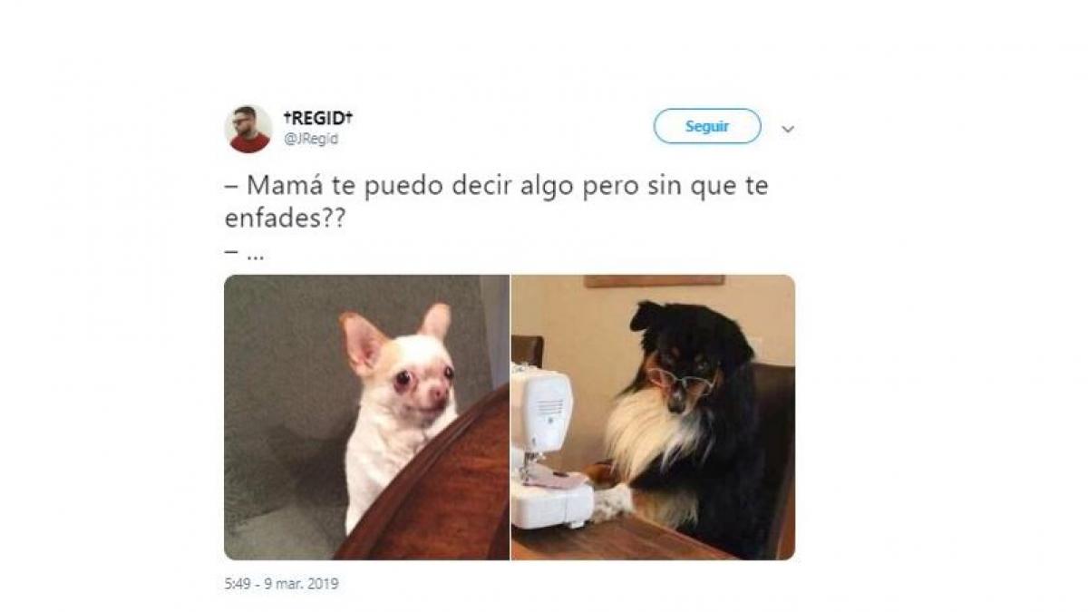 ¿Quieres memes? Toma memes