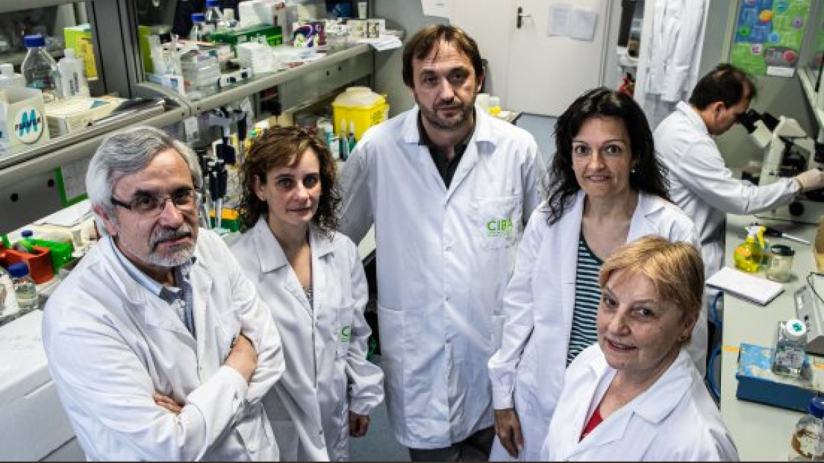 Investigadores aragoneses hallan un nuevo método para diagnosticar de ...