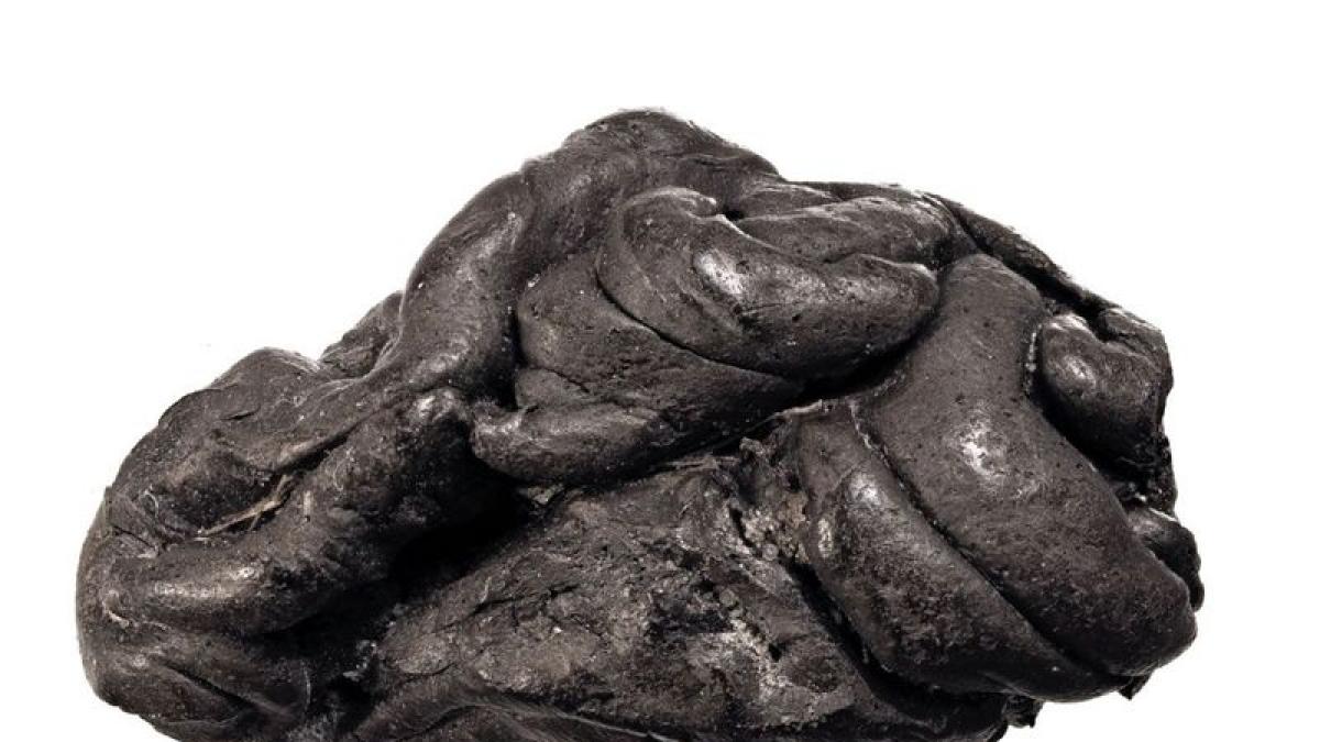 Un "chicle" masticado hace 5.700 años, lleno de pistas de nuestros ...