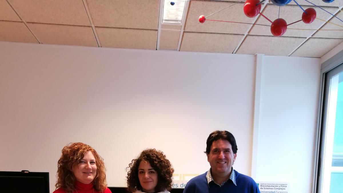 Investigadores de la Universidad de Zaragoza avanzan en el estudio de ...