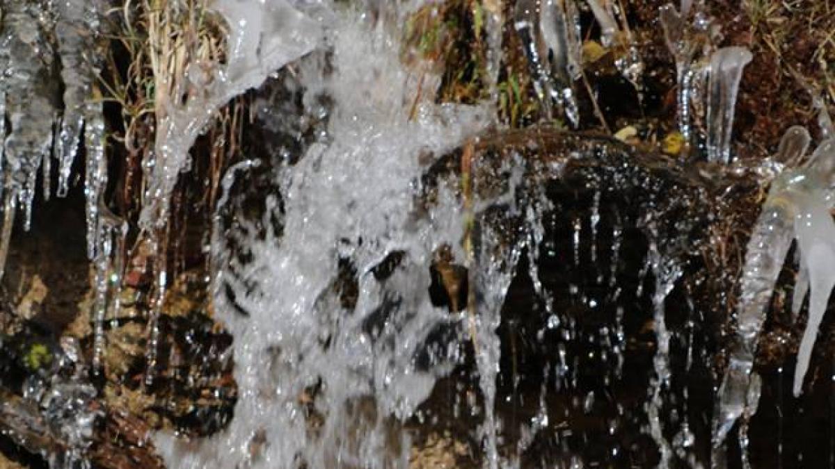 El Albada Blanco 2019, tan rico y frutal como siempre