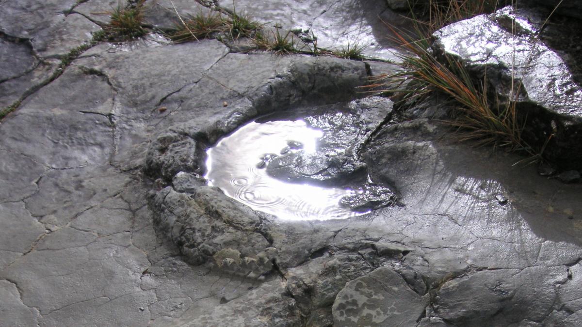 ¡me Dejas De Piedra En Colaboración Con Dinópolis Dos Historias Se Entrelazan Las Huellas De