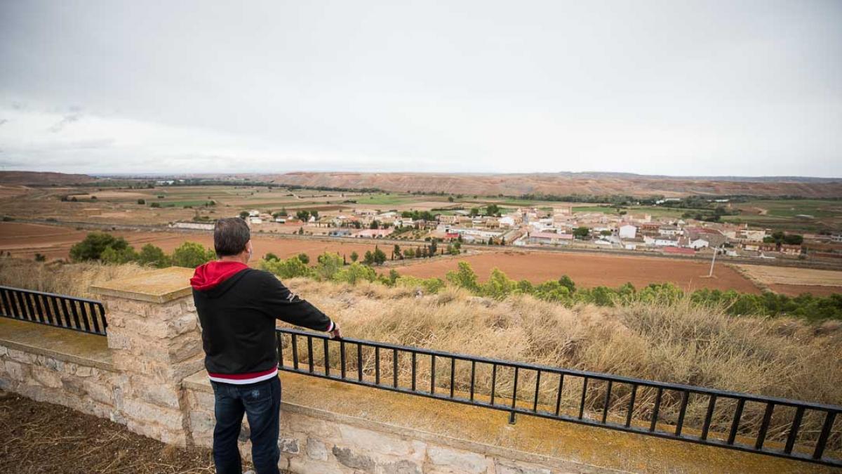 Fotos del fósil de la era terciaria