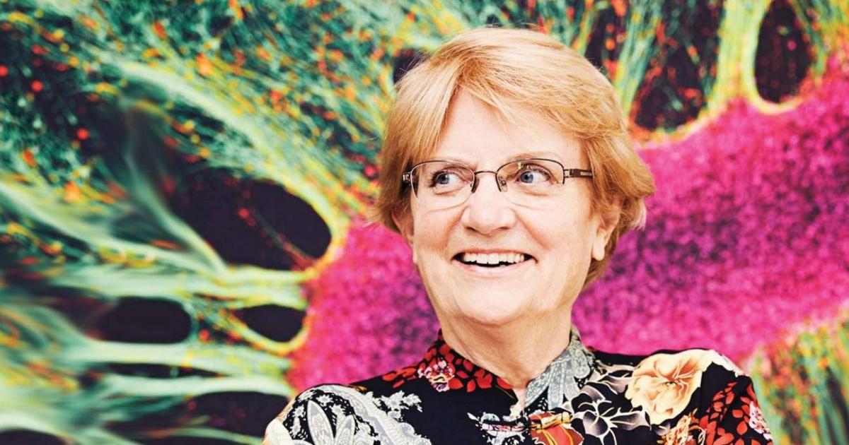 Entrevista a Nancy Hopkins, catedrática emérita de Biología en el MIT ...
