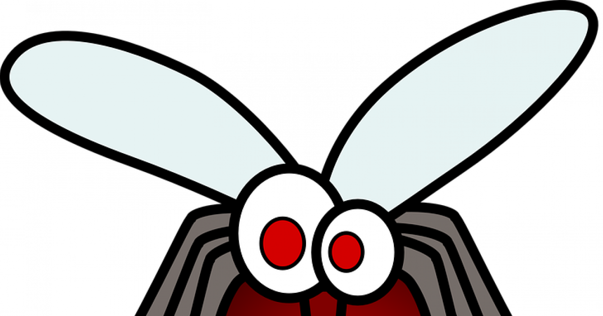 ¡Cuidado con "la mosquita muerta"!