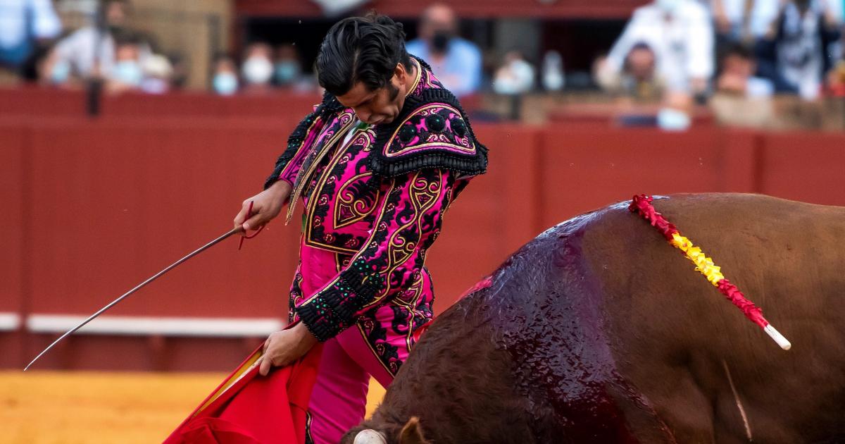 Morante de la Puebla, Premio Nacional de Tauromaquia 2021