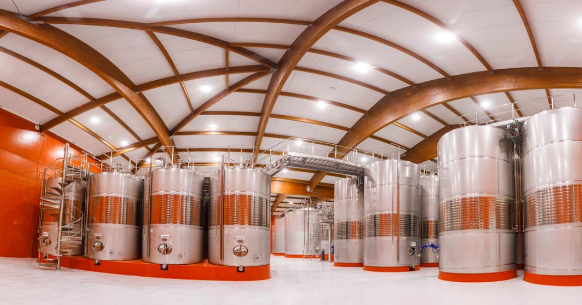 Borsao encara el futuro con una innovadora bodega y con novedosos ...