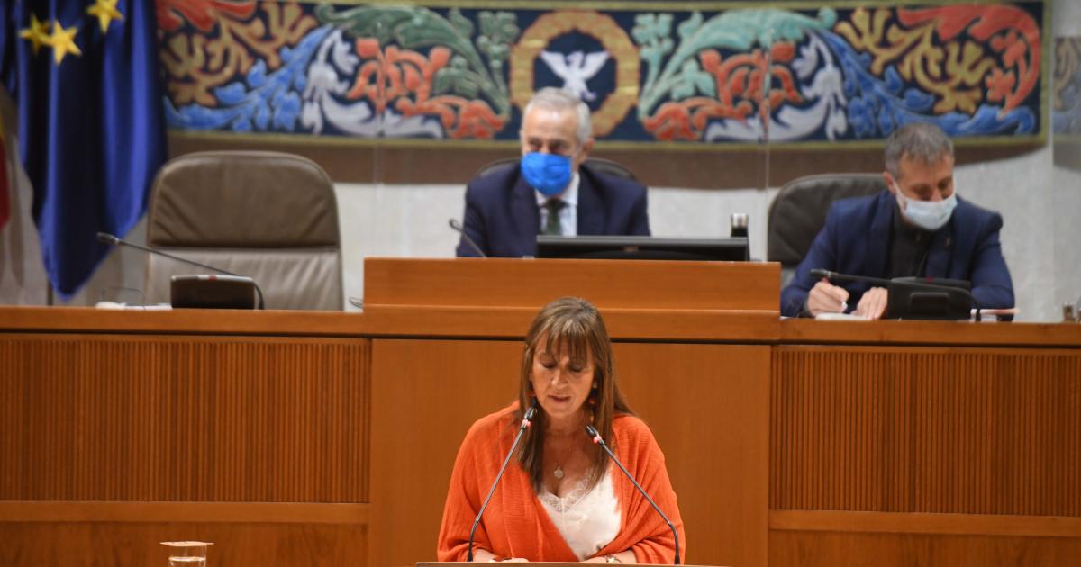 Repollés: "No hay Fiestas del Pilar,estamos ante serie de actos ...