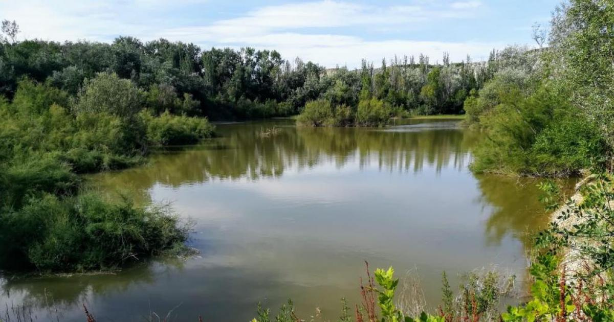 El Galacho de Juslibol da la bienvenida a la primavera este domingo