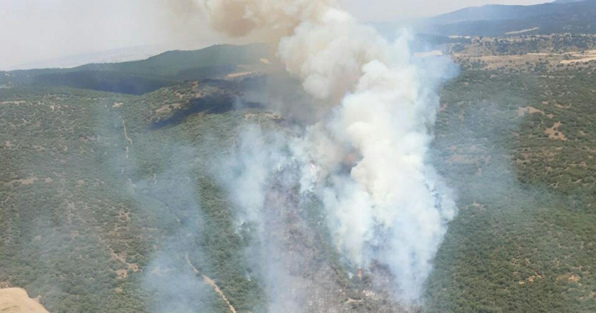 Controlado El Incendio De Mainar Que Ha Quemado 55 Hectáreas Forestales