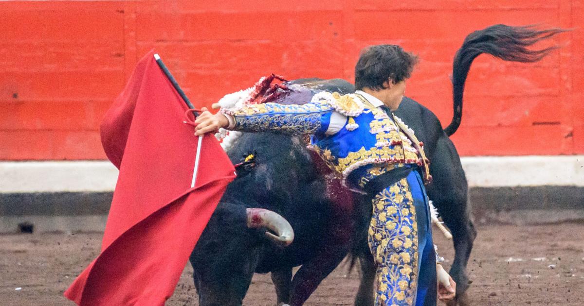 Roca Rey, baja en la corrida de este viernes en Bilbao | Imágenes