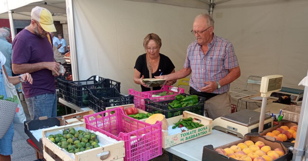 Variedad sectorial en la Ferma 2022