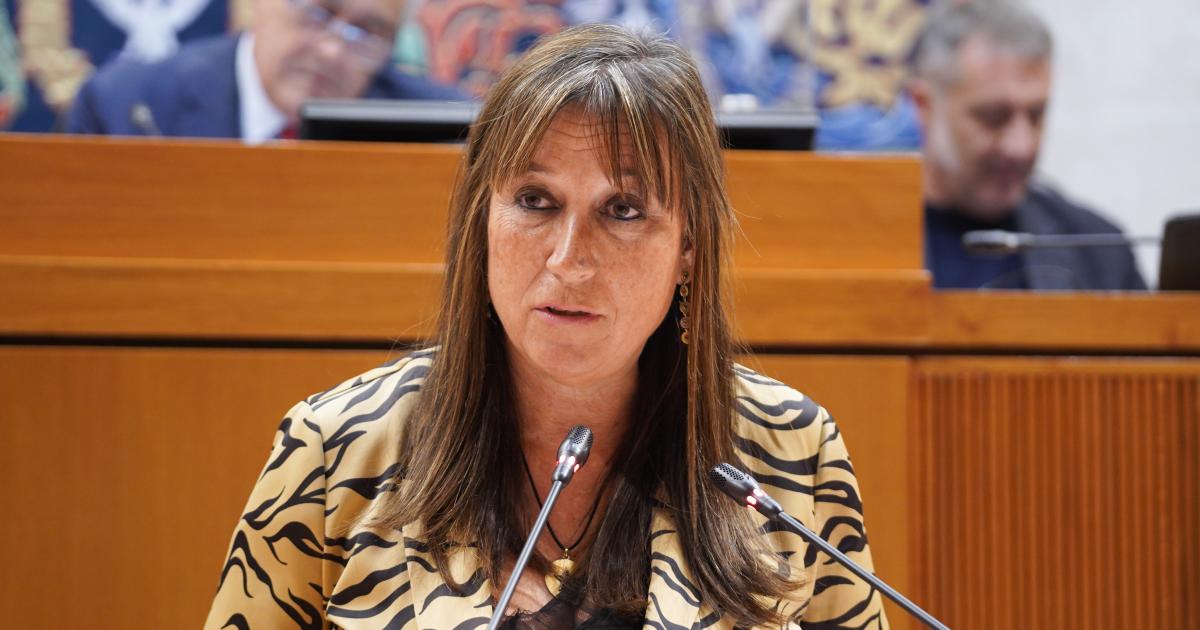 Repollés defiende que los fondos covid se gastaron de forma "adecuada"