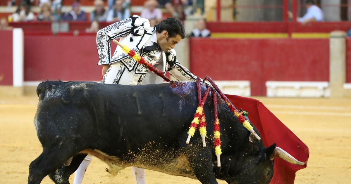 Un maño de vuelta al ruedo en la Feria taurina de las Fiestas del Pilar ...