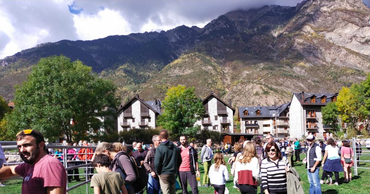 El sol ameniza una muy concurrida Feria Ganadera de Benasque