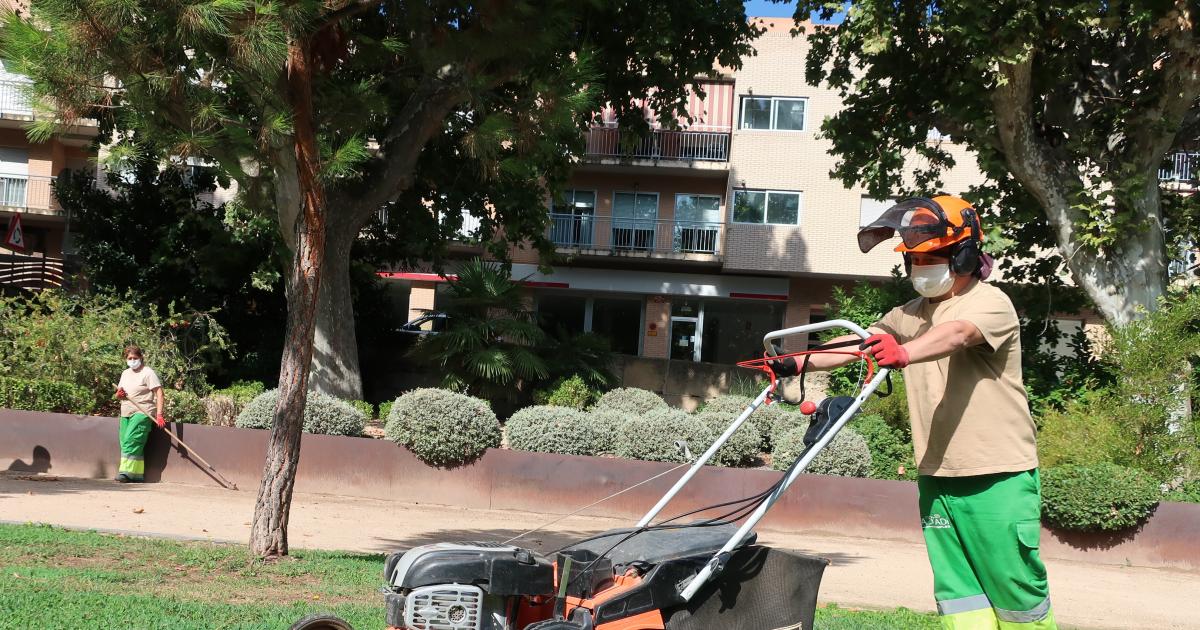 Generar empleo estable y con garantías, la clave para lograr una ...