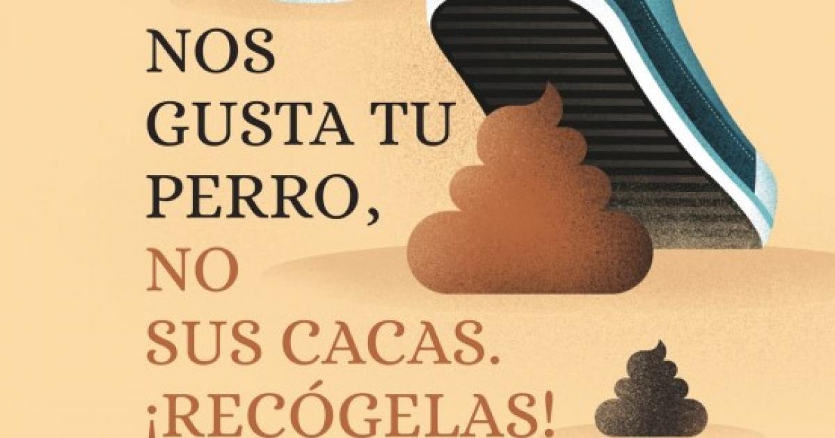 Retirar las cacas de perro de la vía pública en Zaragoza cuesta 450.000 ...