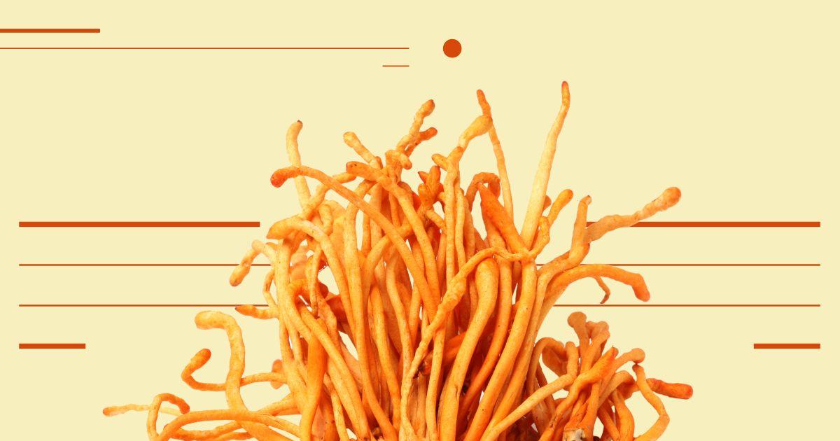 Qué es el hongo cordyceps y qué probabilidades hay de contagio