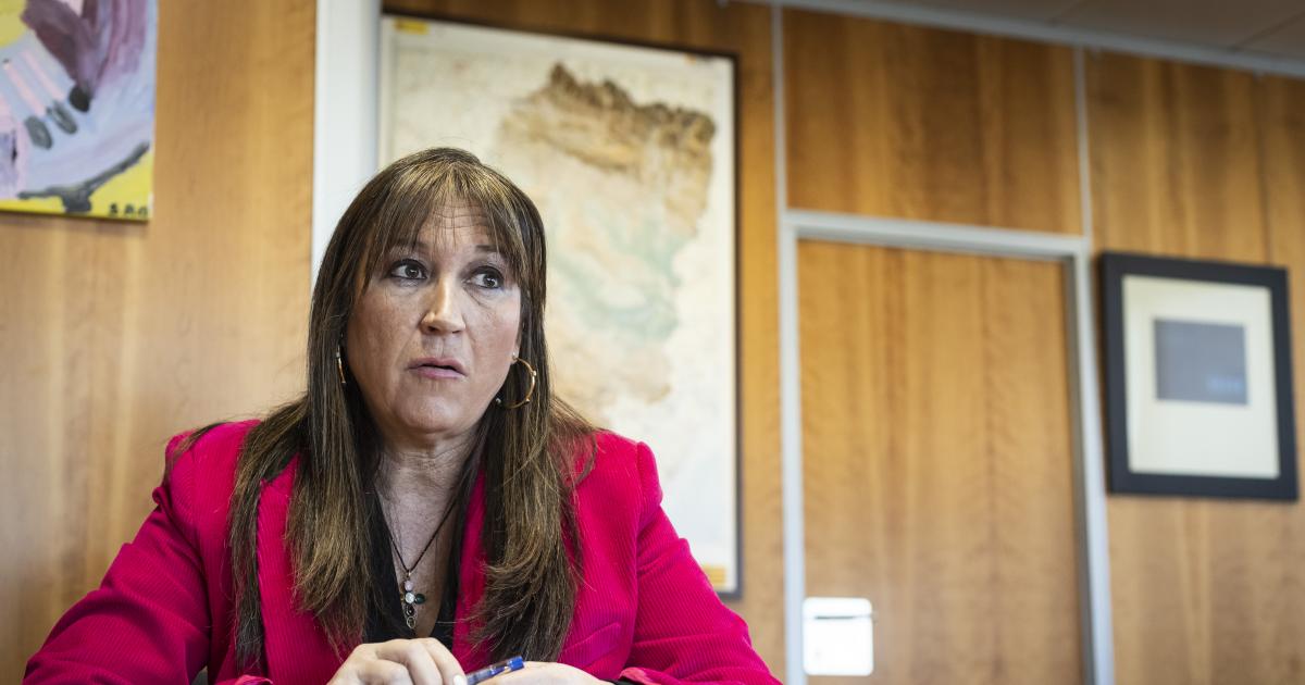 Repollés: "Esto era un paréntesis y probablemente vuelva a mi profesión"