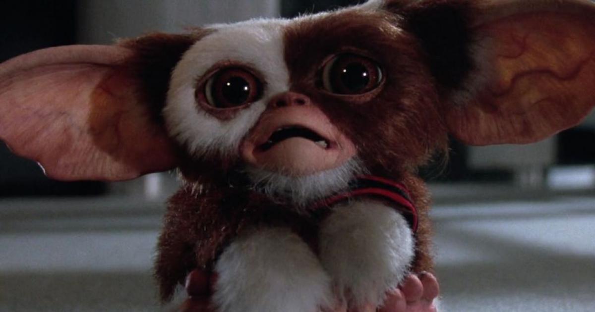 libro sobre gremlins: Los gremlins revelan sus últimos secretos