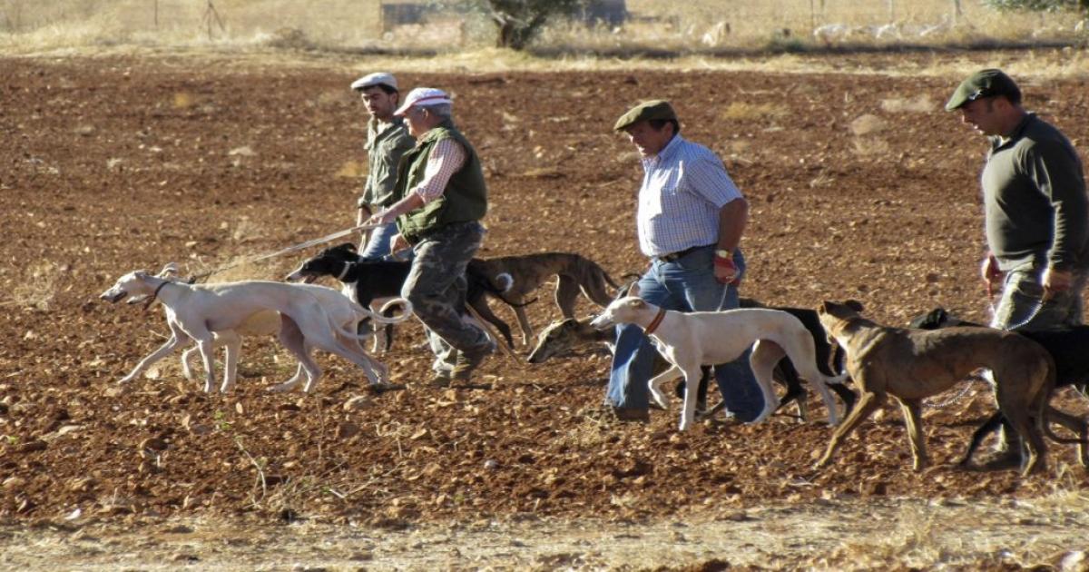 Temperaturas extremas marcan la “irregular” temporada de caza