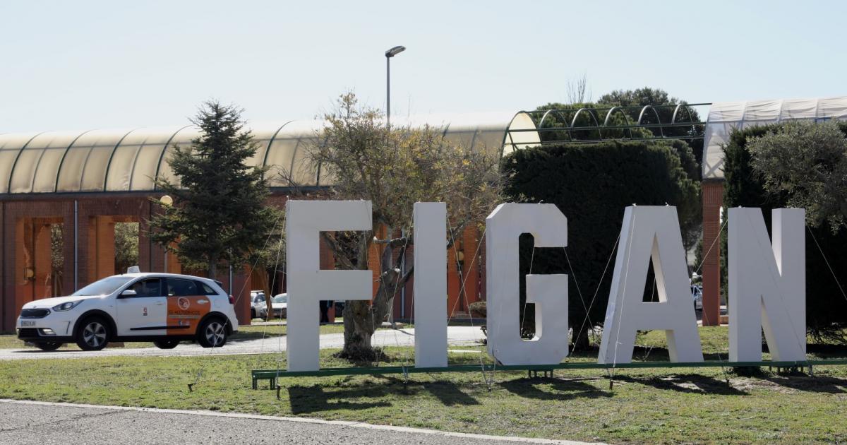 Fotos de la inauguración de Figan en Zaragoza | Imágenes