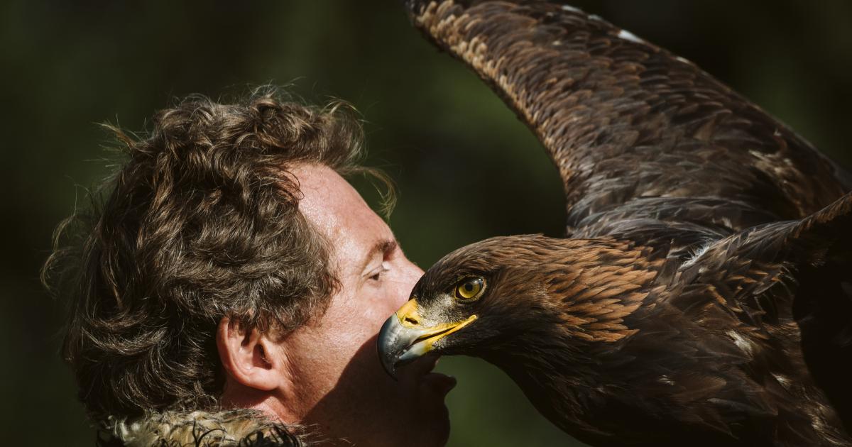 Tierra Rapaz atractivo turístico para los aragoneses