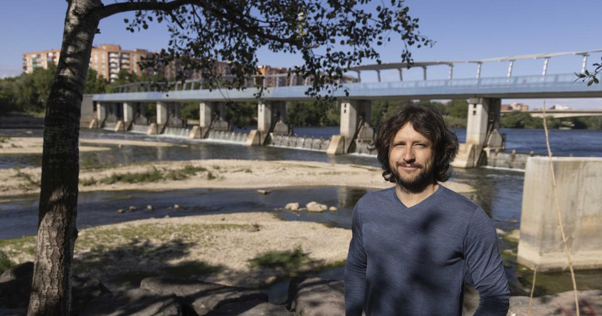 Ignacio Ruiz: "El calor acelera el desarrollo de la mosca negra"