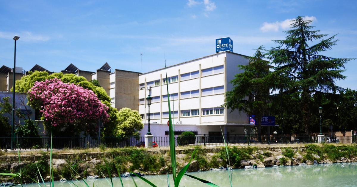 Formación para directivos: conoce el nuevo curso de CESTE, gratuito y ...