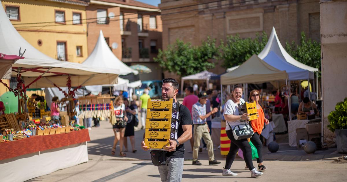 El Frasno presume de cerezas | Imágenes
