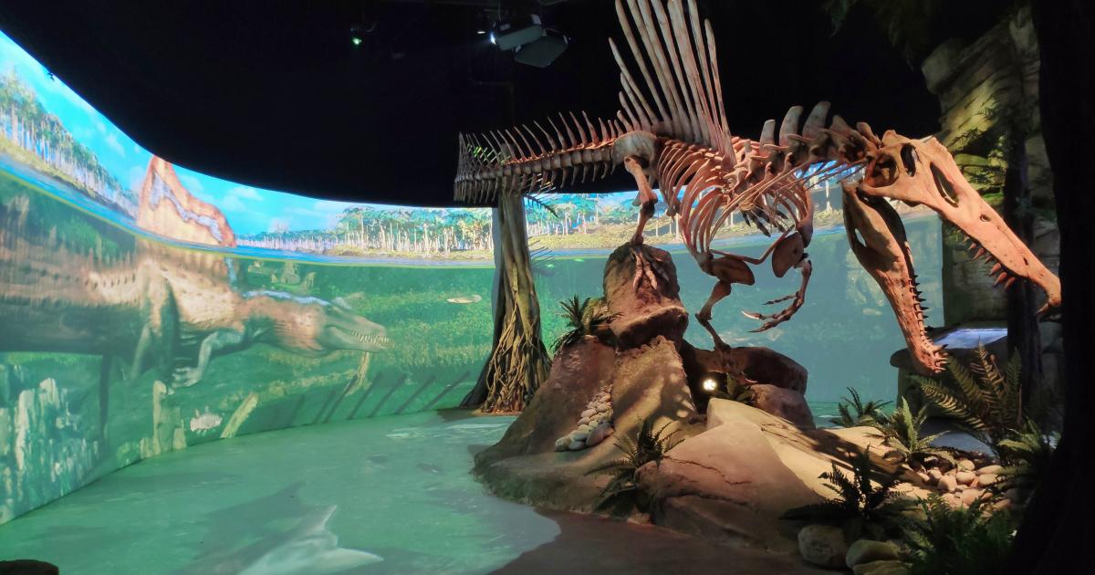 Dinópolis está de estreno en Teruel: qué es Mar Jurásico, recorrido y ...