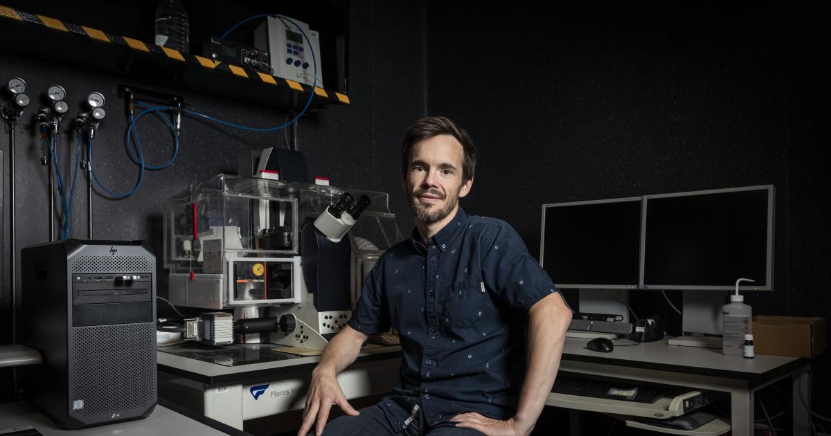 Manuel Valiente: "España, si quisiera, podría ser un referente a nivel ...