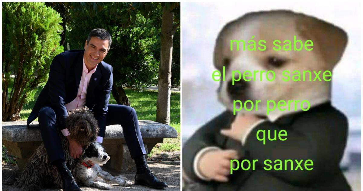 "Feliz día del perro": el PSOE y Pedro Sánchez bromean con el meme de "Perro Sanxe" en el último ...