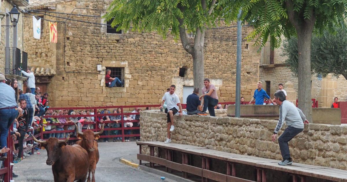 Ayuntamiento de Biota