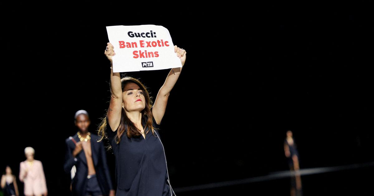 Una activista de PETA irrumpe en el desfile de Gucci en la Semana de la ...