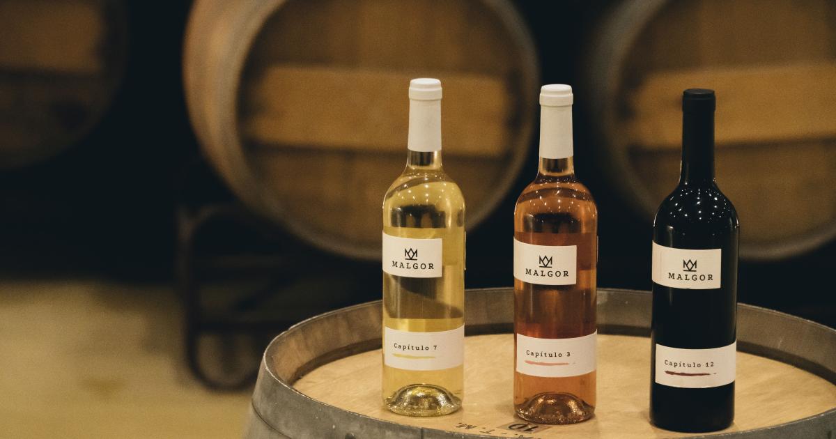 Bodegas Malgor, el vino que está en boca de todos