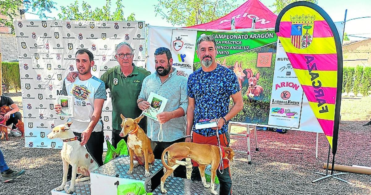 Primer Campeonato de Caza Práctica para Podenco y Maneto