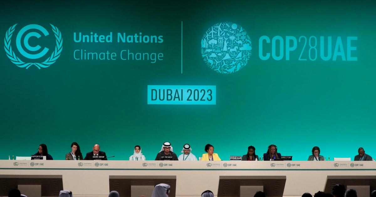 Las empresas en la COP-28 | Opinión | Clara Arpa y Víctor Viñuales