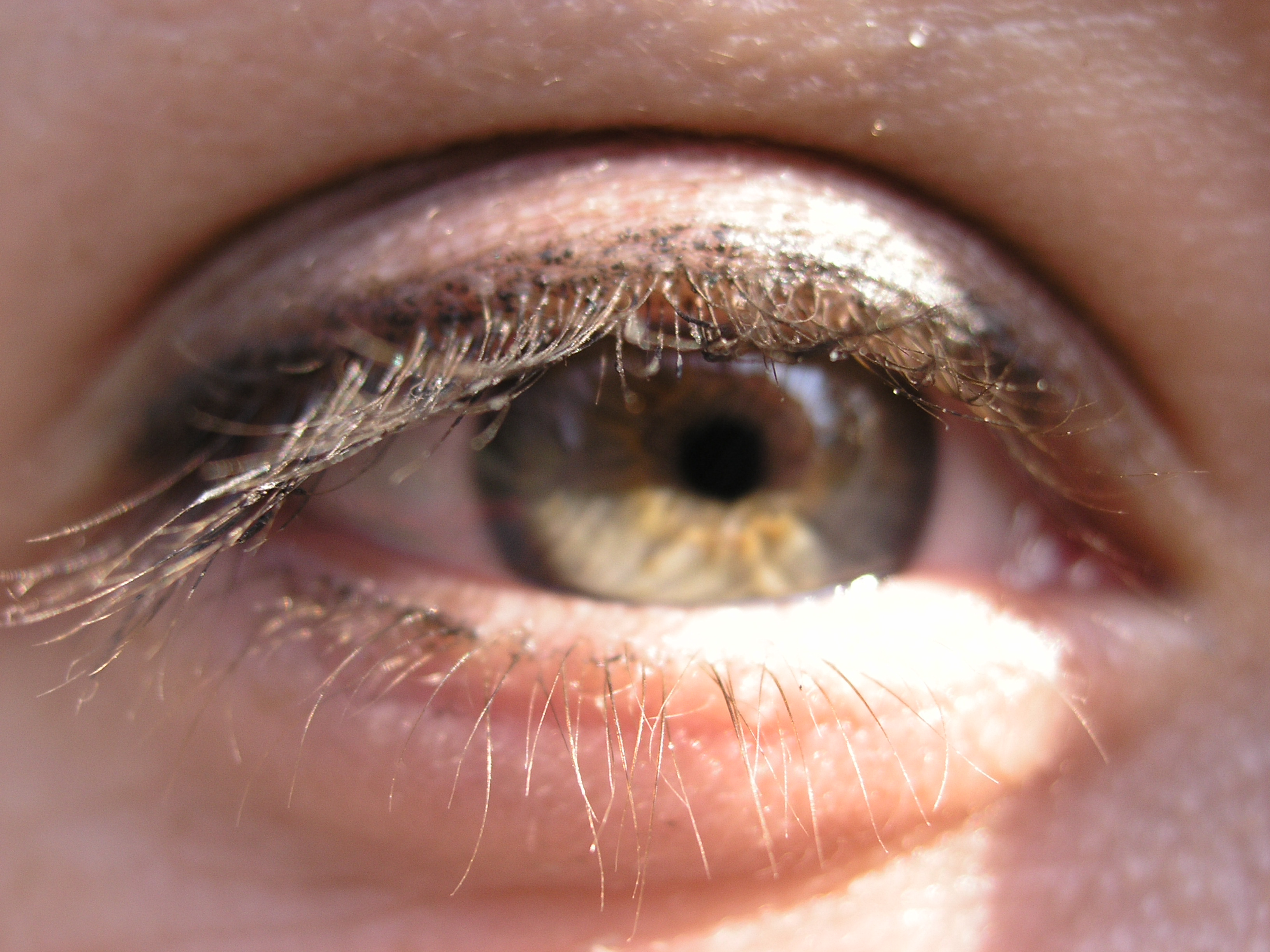 Devolver la vista a ciegos y deficientes visuales ya es posible