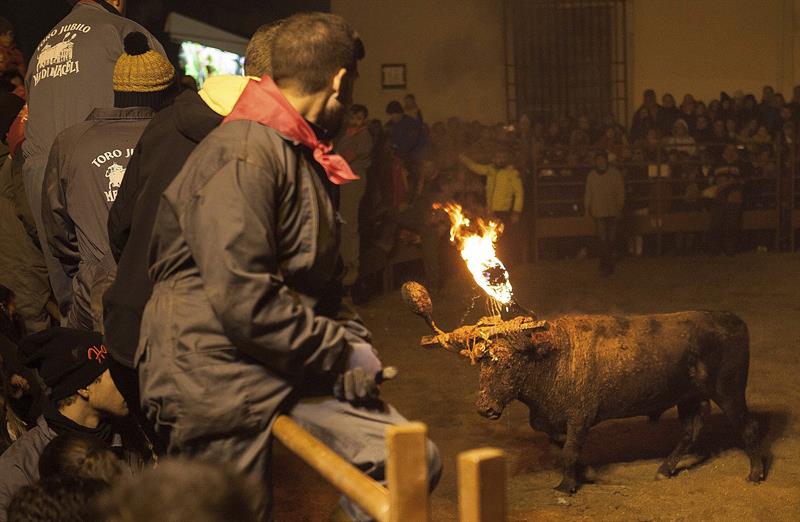 La Justicia suspende el Toro Jubilo de Medinaceli al anteponer el ...