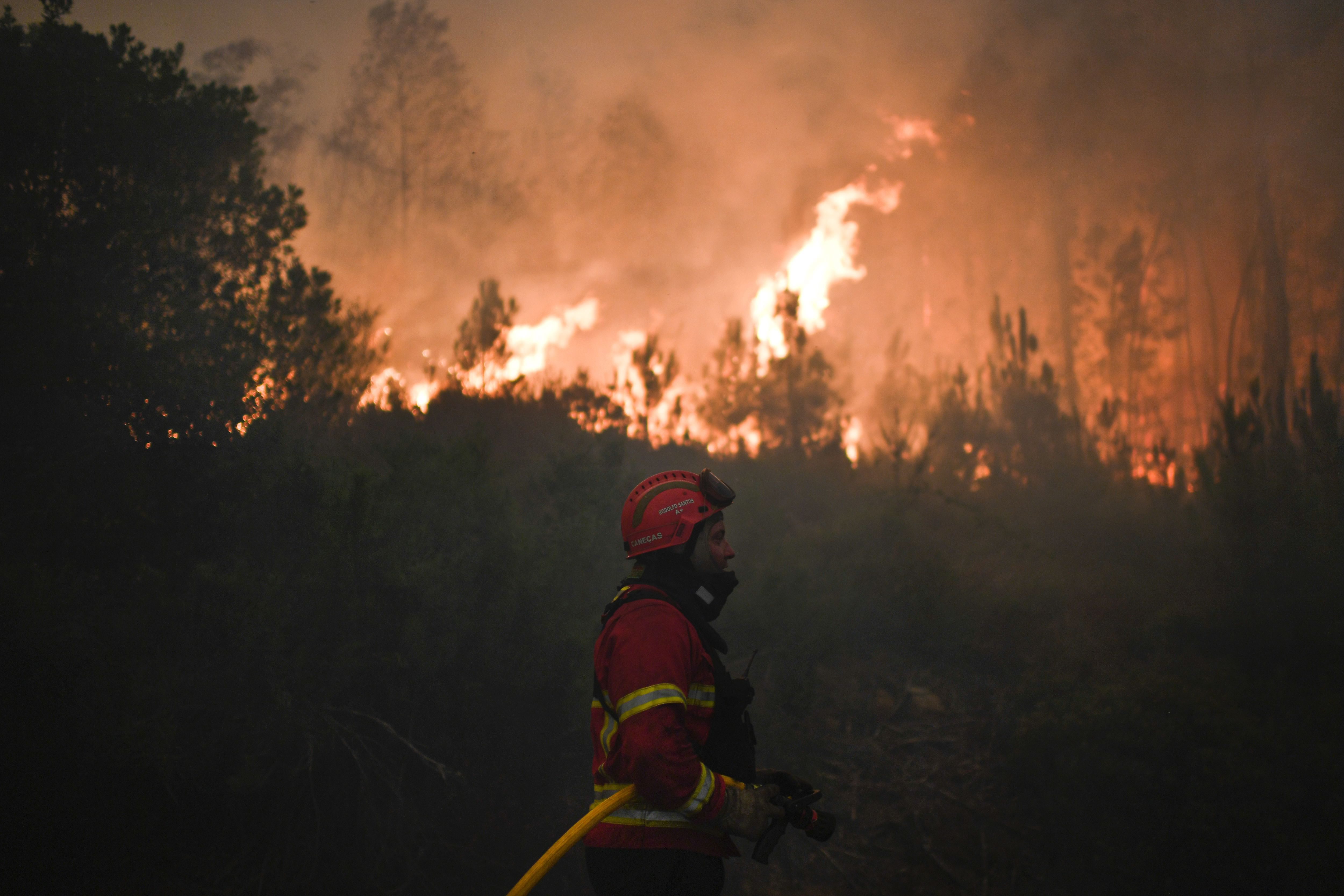 Aquí hay ciencia. La química de los incendios | Noticias de Divulgación ...