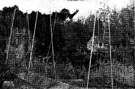 Los trapecistas que hacían volatines a orillas del Huerva