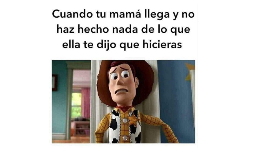 Recolecta semanal de memes: amplía tu colección | Imágenes