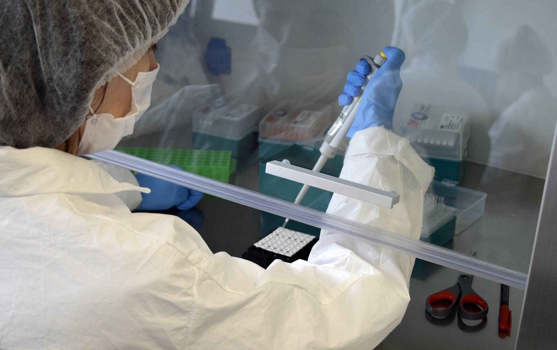 Certest Biotec obtiene la certificación de su test rápido para ...