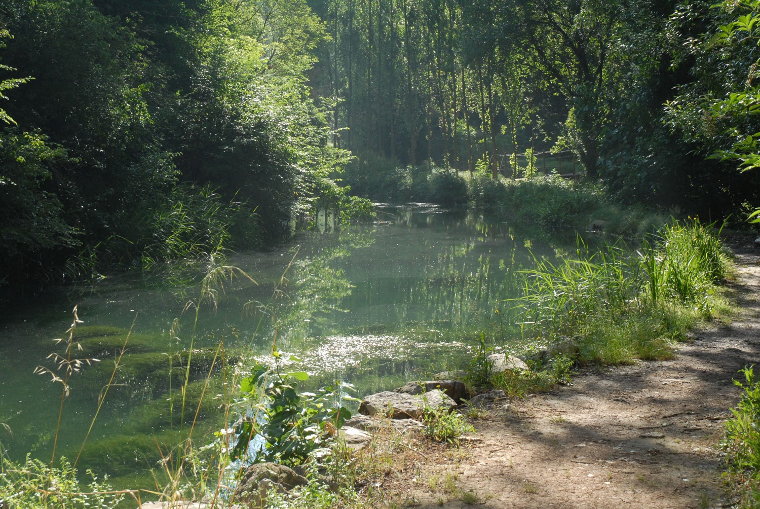 Senderismo en el barranco de Gabasa, un oasis en La Litera