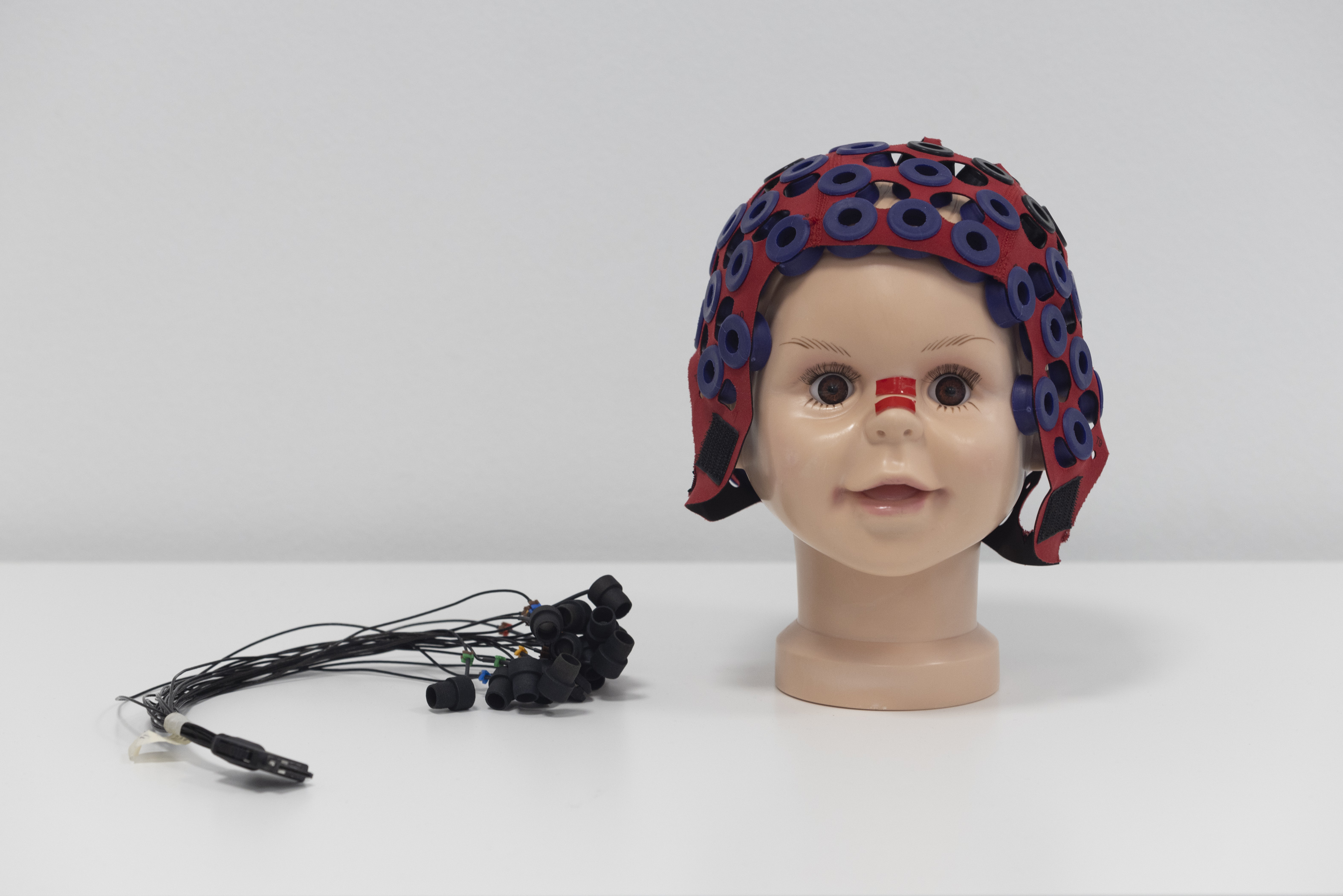 La empresa aragonesa Bitbrain crea una diadema textil que mide la ...