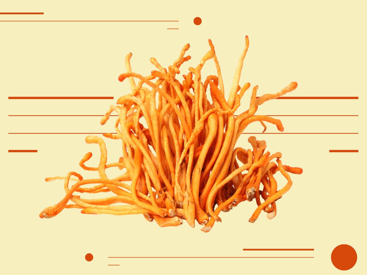 Qué es el hongo cordyceps y qué probabilidades hay de contagio